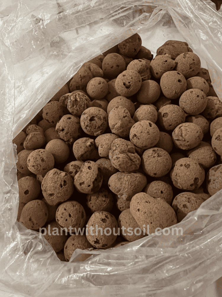 What is LECA? Complete Guide on Using Clay Balls for Plants - Plant ...
