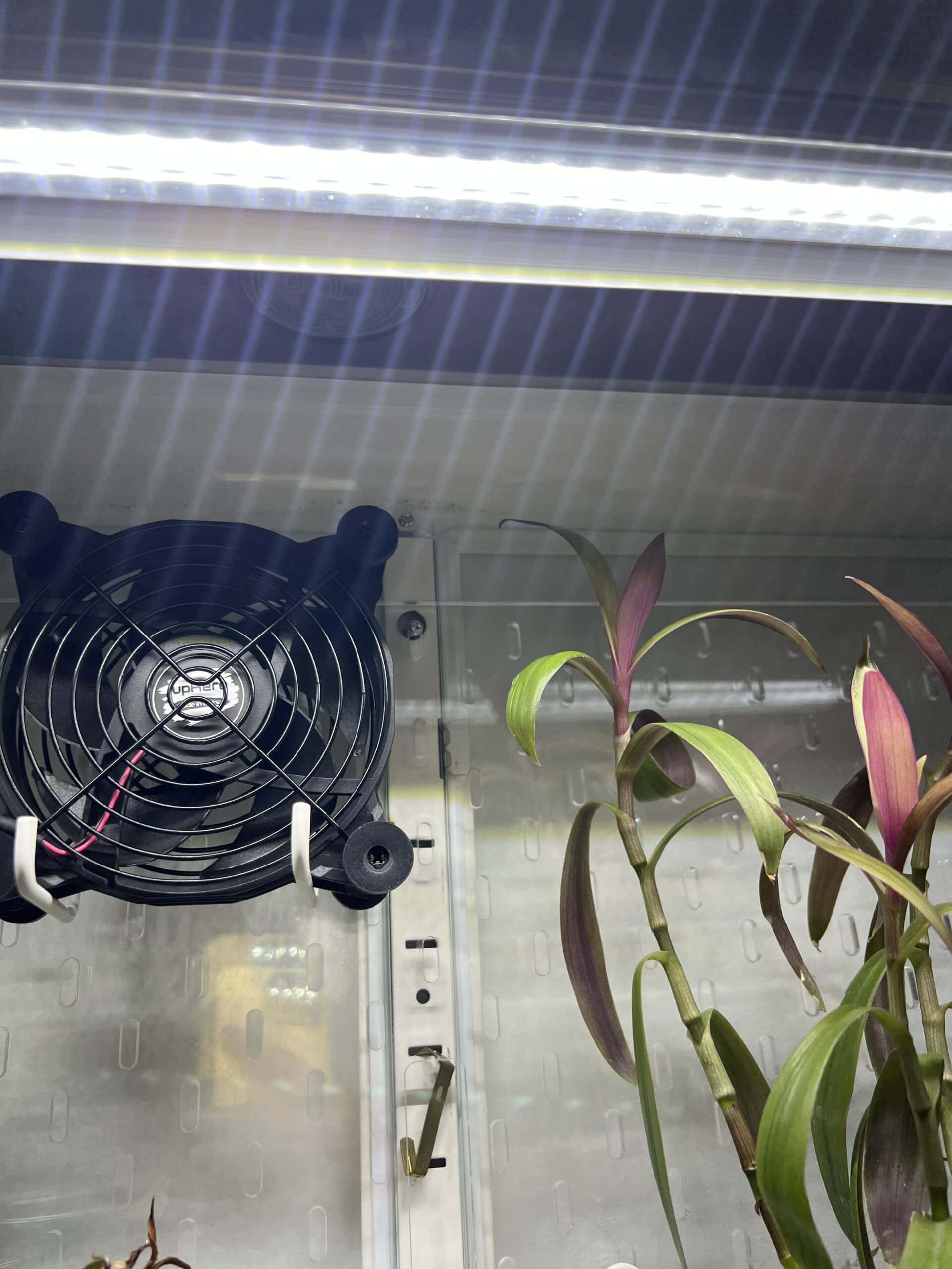 How to Build an Ikea Greenhouse Cabinet & Why You Should Have One ...