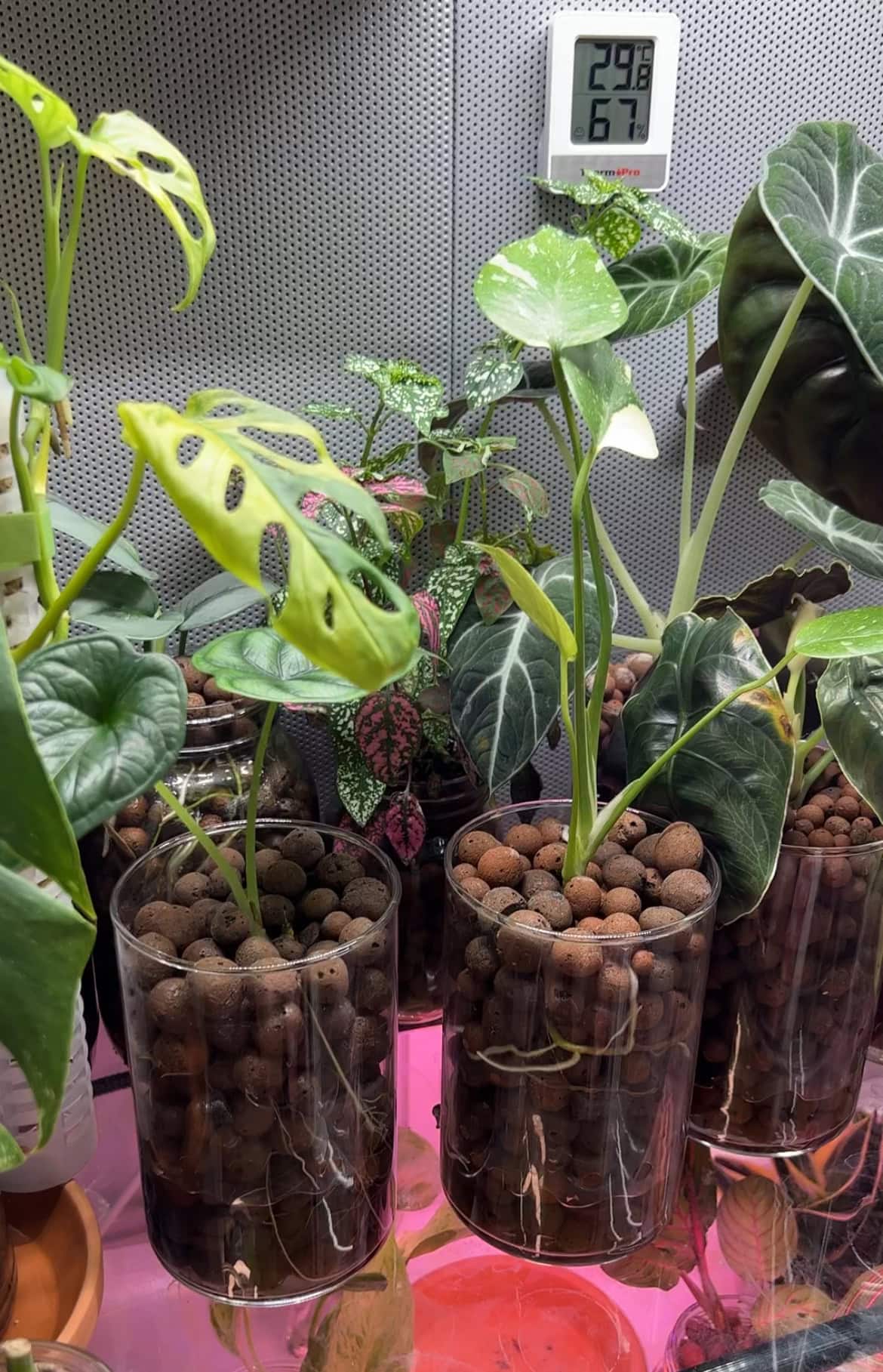 How to Build an Ikea Greenhouse Cabinet & Why You Should Have One ...